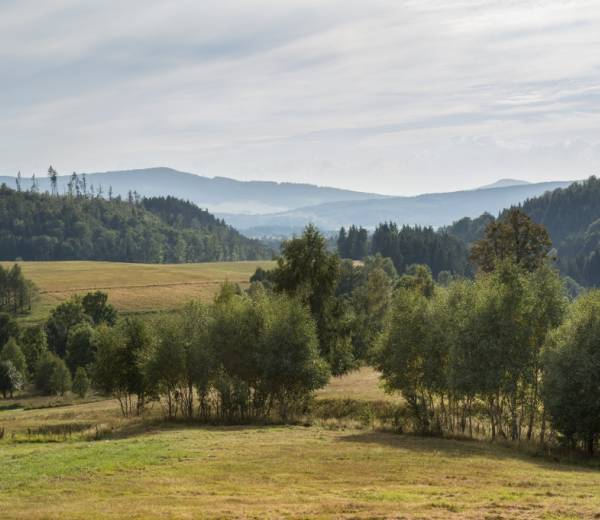 Hotel Spa w Sudetach - Verde Montana